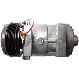 Mahle Kompressor, Klimaanlage acp1047000s