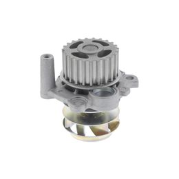 TOPRAN Wasserpumpe 107829 f&uuml;r CUPRA