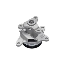 KAVO PARTS Wasserpumpe nw1288 f&uuml;r Vaughall Fiat Mercedes NISSAN RENAULT TRUCKS