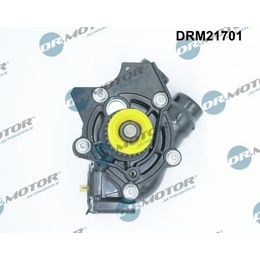 DR.MOTOR AUTOMOTIVE Wasserpumpe drm21701 f&uuml;r VW VAG SEAT