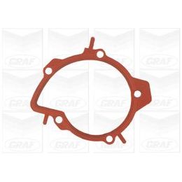 Graf Wasserpumpe pa1110 f&uuml;r Ford DS Peugeot Fiat TOYOTA