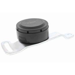 VAICO Spannrolle, Keilrippenriemen v302582 f&uuml;r SMART