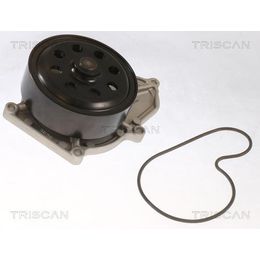 TRISCAN Wasserpumpe 860040023 f&uuml;r HONDA
