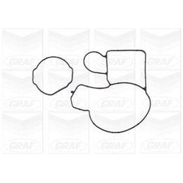 Graf Wasserpumpe pa1118 f&uuml;r BMW