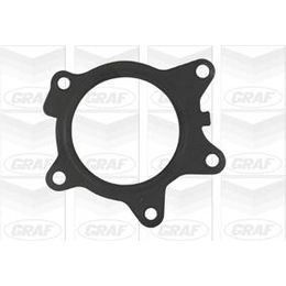 Graf Wasserpumpe pa890 f&uuml;r TOYOTA MINI