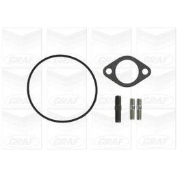 Graf Wasserpumpe pa607 f&uuml;r Fiat Peugeot