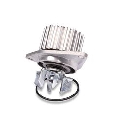Hepu Wasserpumpe p813 f&uuml;r Peugeot ROVER
