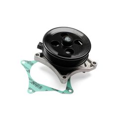 Hepu Wasserpumpe p389 f&uuml;r Opel
