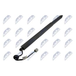 NTY Gasfeder, Koffer-/Laderaum aefr069 f&uuml;r Ford