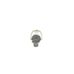 Bosch 1457434000 f&uuml;r Volvo Fiat Iveco MAN Mercedes RENAULT VW AGRALE STEYR