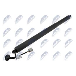 NTY Gasfeder, Koffer-/Laderaum aefr067 f&uuml;r Ford