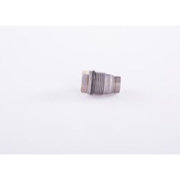 Bosch 1110010017