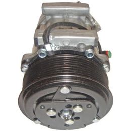 Mahle Kompressor, Klimaanlage acp117000s