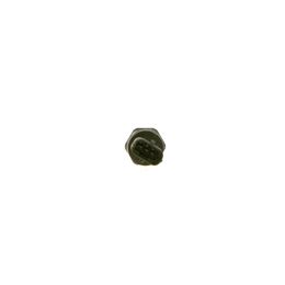 Bosch Sensor, Kraftstoffdruck 0281006163