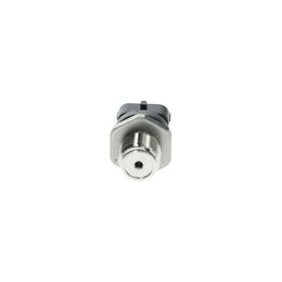 Bosch Sensor, Kraftstoffdruck 0281007113 f&uuml;r Vaughall Opel