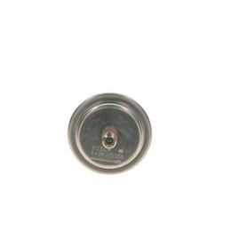 Bosch Druckspeicher, Kraftstoffdruck 0438170055 f&uuml;r FERRARI LANCIA Mercedes ROLLS-ROYCE