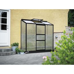HALLS Anlehngew&auml;chshaus 'Altan 3' 69 x 194 cm mit 4 mm Doppelstegplatten schwarz