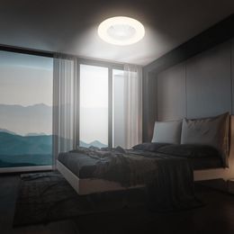 Brilo LED-Deckenventilator mit Beleuchtung 'Tuuletin' dimmbar tageslichtwei&szlig;, Farbwechsler &Oslash; 48,5 x 14,5 cm