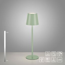 Just Light LED-Tischlampe 'Euria' dimmbar 3 W 320 lm warmwei&szlig; &Oslash; 11 x 37 cm