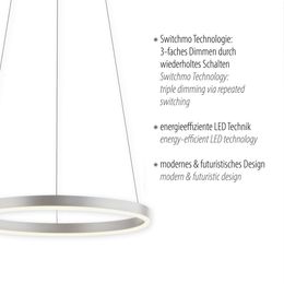 Just Light LED-Pendelleuchte 'Ritus' dimmbar 23,5 W 800 lm warmwei&szlig; &Oslash; 39,3 x 60 - 120 cm