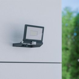 Steinel LED-Au&szlig;enwandstrahler 'XLED ONE ' mit Bewegungssensor 42,6 W 4200 lm warmwei&szlig; IP 44 25,9 x 21,5 cm