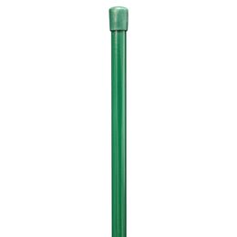Geflechtspannstab gr&uuml;n &Oslash; 1 x 80 cm