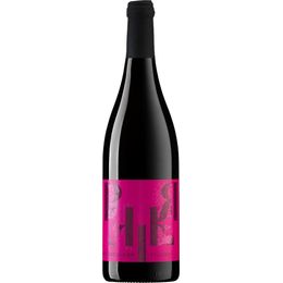 Weingut Peter Sp&auml;tburgunder 2022 Trocken - Pfalz &ndash; Rotwein Qualit&auml;tswein