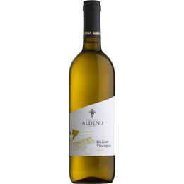 Cantina Aldeno Trentino - M&uuml;ller Thurgau &ndash; Wei&szlig;wein DOC