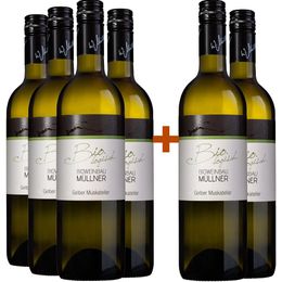 BIO Weinbau M&uuml;llner 4+2 Paket Gelber Muskateller 2024 Trocken - Nieder&ouml;sterreich &ndash; Probierpaket Qualit&auml;tswein
