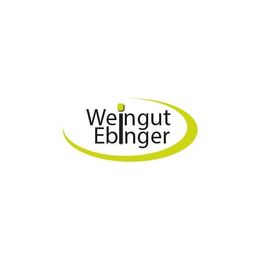 Weingut Martin Ebinger Prickelnde Traube ohne Alkohol Blauburger 2025 - Nieder&ouml;sterreich &ndash; Traubensaft mit Kohlens&auml;ure