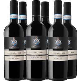 Cantina Rechsteiner Rotwein Paket Trocken - Venetien &ndash; Probierpaket DOC