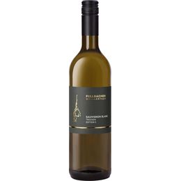 Fellbacher Weing&auml;rtner eG Fellbacher Weing&auml;rtner eG S Sauvignon Blanc 2025 Trocken - W&uuml;rttemberg &ndash; Wei&szlig;wein Qualit&auml;tswein