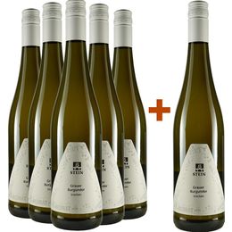 Weingut Karl Stein 5+1 Grauer Burgunder Paket Grauburgunder 2025 Trocken - Nahe &ndash; Probierpaket Qualit&auml;tswein