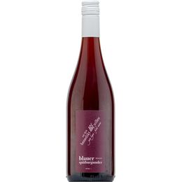 Weingut Benedikt Nilles Blauer Sp&auml;tburgunder 2025 Trocken - Mosel &ndash; Rotwein Qualit&auml;tswein