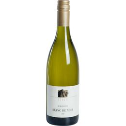 Weingut Stich B&uuml;rgstadter Sp&auml;tburgunder 2025 Trocken - B&uuml;rgstgadter Franken &ndash; Blanc de Noir Qualit&auml;tswein
