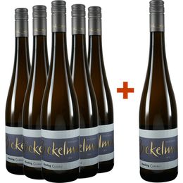 Weingut Bickelmaier 5+1 Classic Rheingau Paket Riesling 2024 Feinherb - &ndash; Probierpaket Qualit&auml;tswein