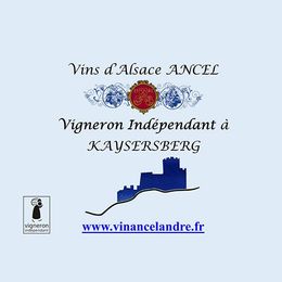 Famille Ancel AOC Pinot Noir 2025 Trocken - Kaysersberg Elsass &ndash; Rotwein AOP