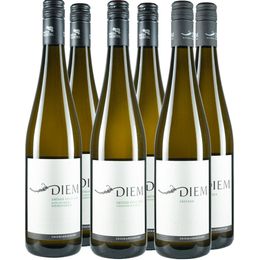 Weingut Diem Gerald und Andrea Kennenlern-Paket Gr&uuml;ner Veltliner 2025 Trocken - Verschiedene Regionen &ndash; Probierpaket Diverse