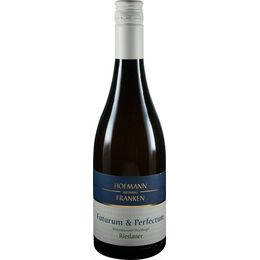 Weinbau Hofmann 0,5 L Rieslaner 2023 Edels&uuml;&szlig; - Wiesenbronner Wachh&uuml;gel Franken &ndash; Wei&szlig;wein Auslese