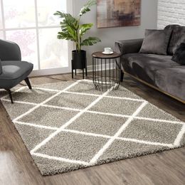 Hochflor-Teppich Sanat "Madrid", grau (hellgrau), B:120cm H:30mm L:170cm, Kunstfaser, Teppiche, Wohnzimmer, Langflor, Shaggy Teppich