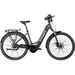 E-Bike Tretwerk "Amber Nexus" Gr. 48, anthrazit, Elektrofahrr&auml;der, 48cm, 28 Zoll (71,12cm), Tretwerk Amber Nexus E Bike Damen 28 Zoll Elektrofahrrad 155 - 185cm