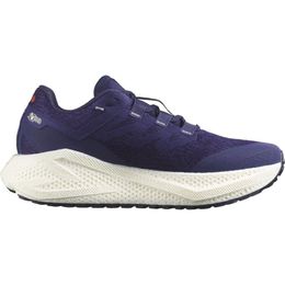 Salomon Aero Glide 3 Gravel Schuhe Herren lila 46.6
