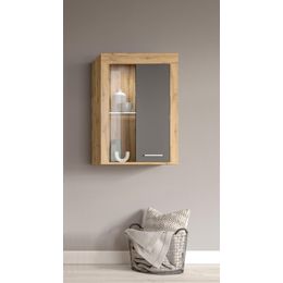Vitrine Home Affaire "AOSTA, Breite 60 cm, stehend / h&auml;ngend, 1 T&uuml;r, 1 Glasboden", grau (wotan eiche nachbildung, grau), B:60cm H:86cm T:35cm, FSC-zertifizierter Holzwerkstoff, Glas, Schr&auml;nke, Vitrine, T&uuml;ranschlag wechselbar, H&auml;ngevitrine, Standvitrine, Kommode, Anrichte