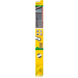 Insektenschutz-Fensterrahmen Schellenberg "Premium f&uuml;r bodentiefe Fenster", wei&szlig; (rahmen: wei&szlig; gewebe: anthrazit), B:120cm H:240cm, Insektenschutzgitter, Fliegengitter mit Rahmen aus Aluminium, anthrazit, wei&szlig;, 120 x 240 cm