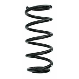 SPIDAN Fahrwerksfeder 87207 Hinterachse f&uuml;r BMW