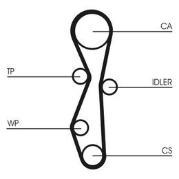 CONTINENTAL CTAM Zahnriemensatz ct1140k1 f&uuml;r Ford DS Peugeot Citro&euml;n Fiat TOYOTA