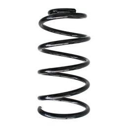 SPIDAN Fahrwerksfeder 85048 Vorderachse f&uuml;r Ford