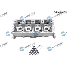 DR.MOTOR AUTOMOTIVE Zylinderkopf drm21405 f&uuml;r Ford SEAT Audi