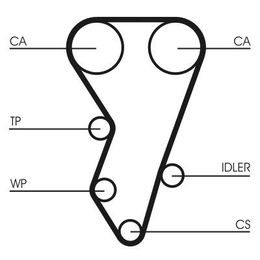 CONTINENTAL CTAM Zahnriemen ct864 f&uuml;r Citro&euml;n Peugeot