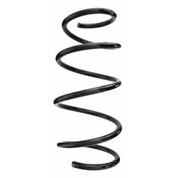SPIDAN Fahrwerksfeder 87590 Vorderachse f&uuml;r TOYOTA